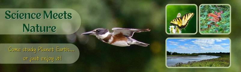 Palmyra Cove/Institute for Earth Observations | nature park & STEM ...
