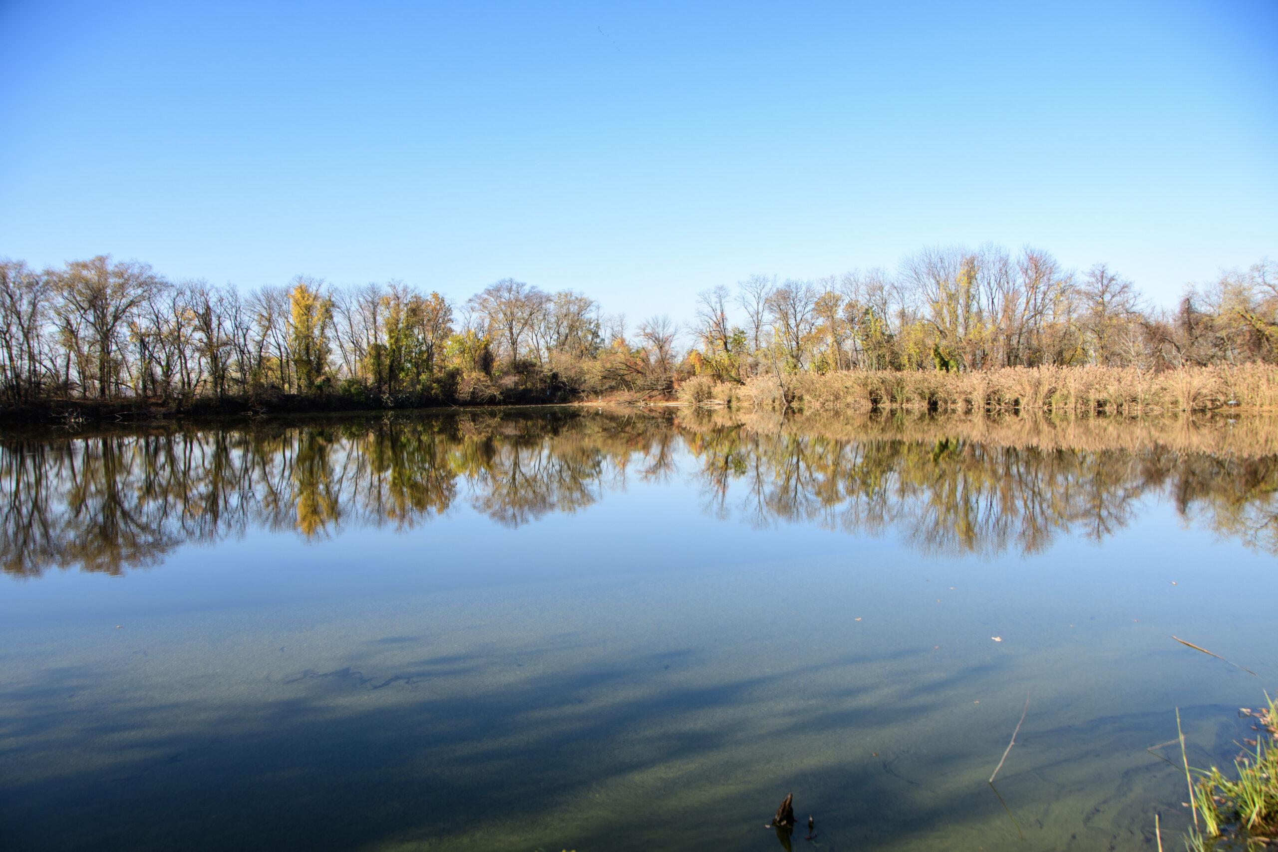 Palmyra Cove/Institute for Earth Observations | nature park & STEM ...