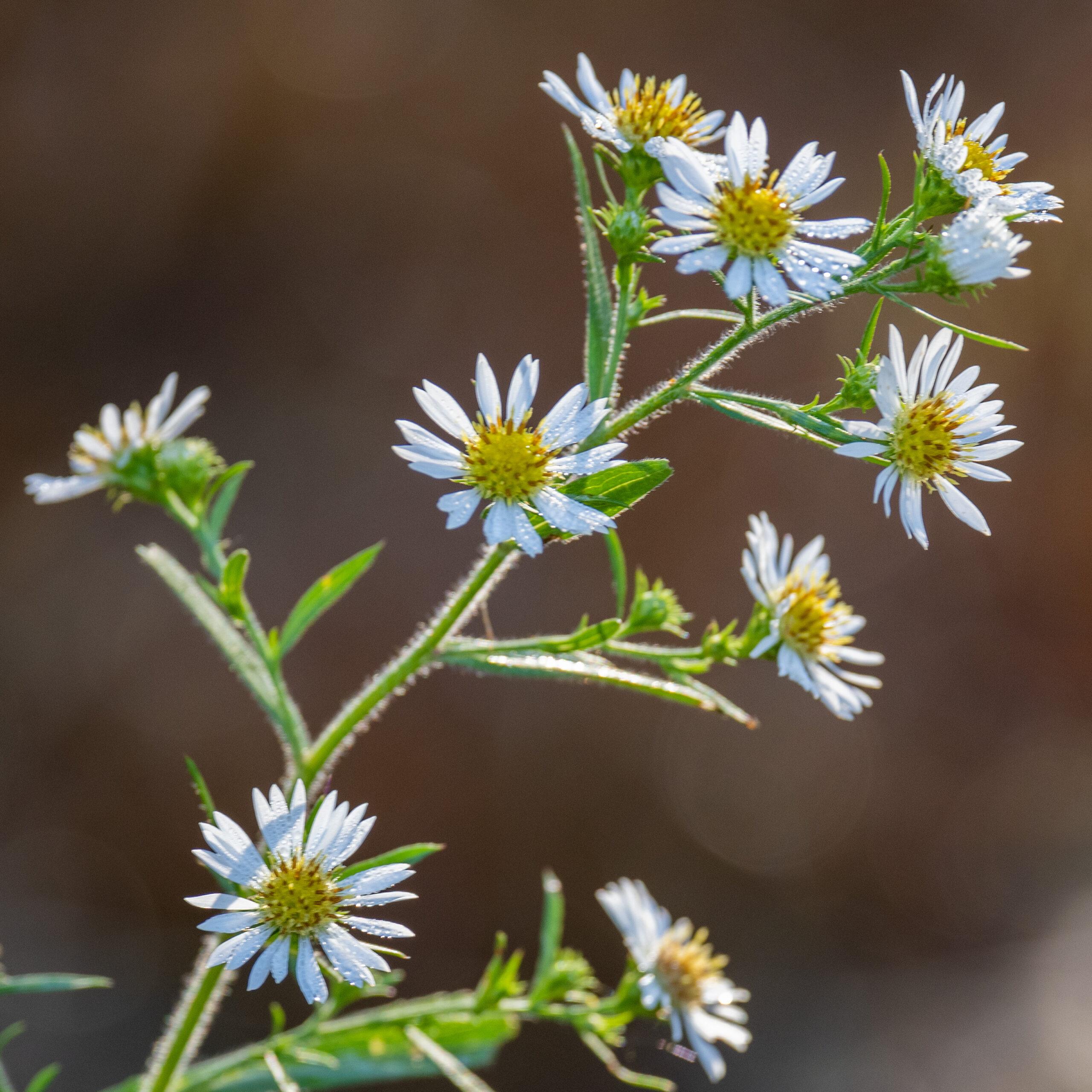 Palmyra Cove/Institute for Earth Observations | nature park & STEM ...