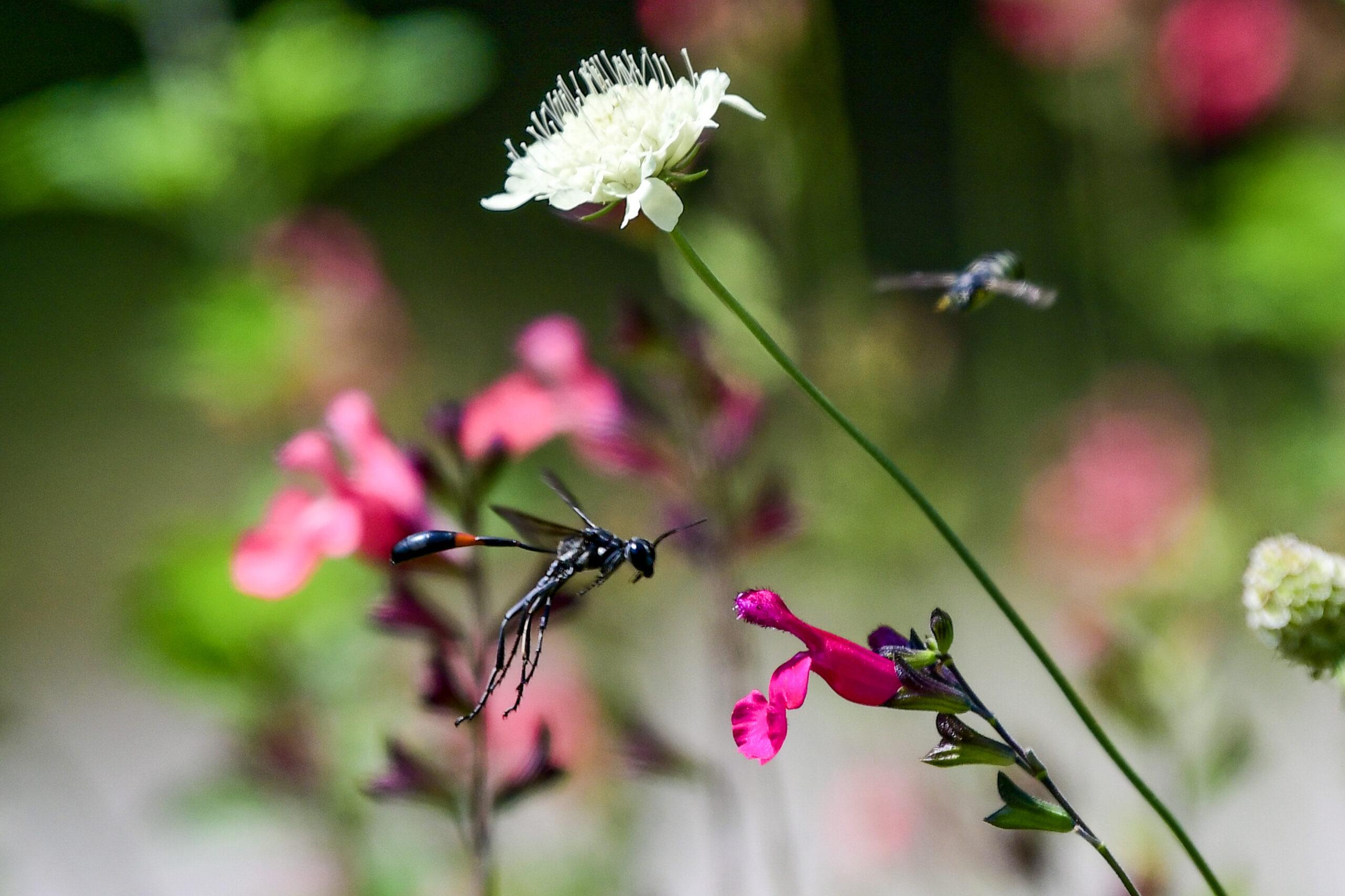 Palmyra Cove/Institute for Earth Observations | nature park & STEM ...