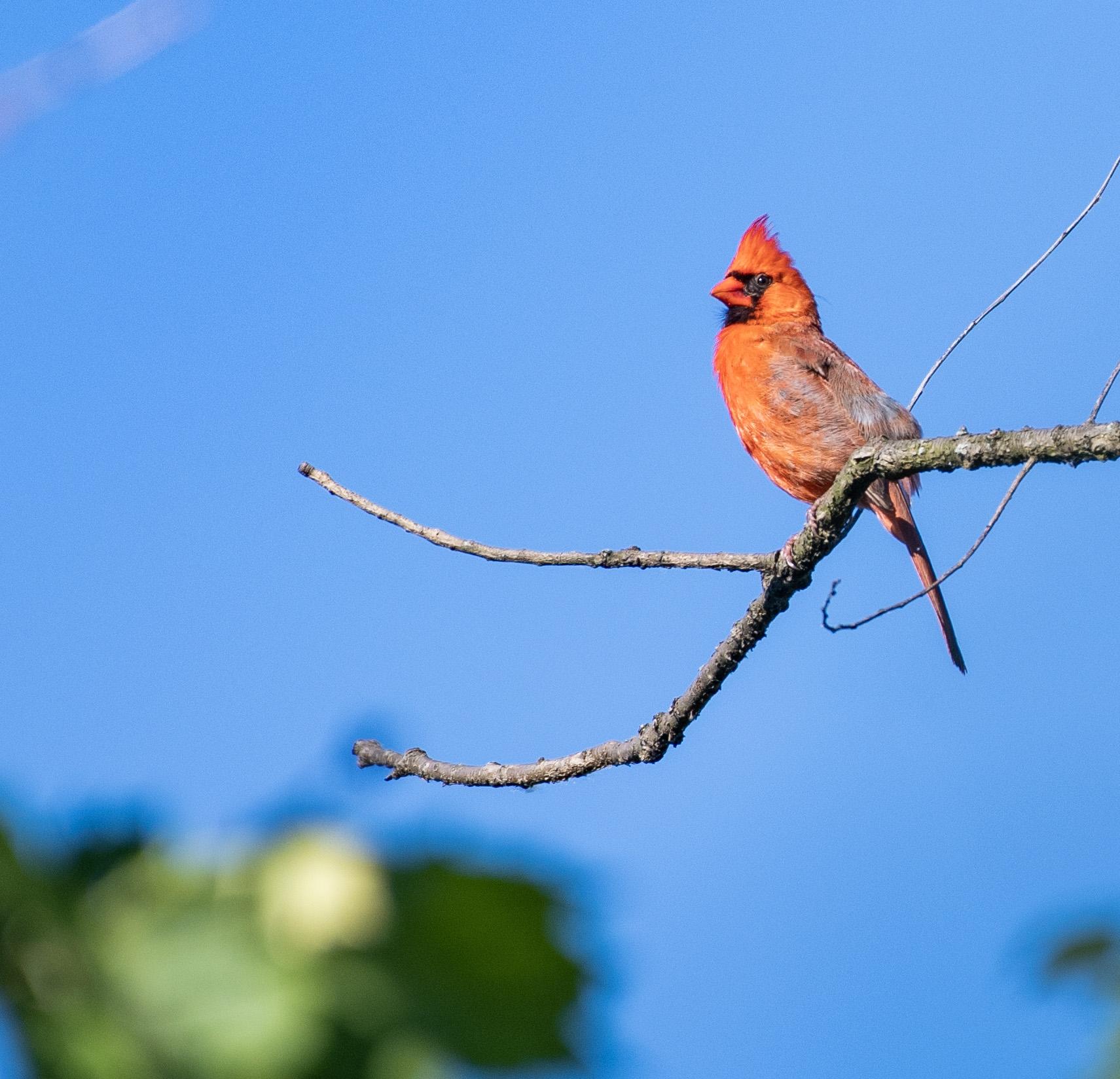 Palmyra Cove/Institute for Earth Observations | nature park & STEM ...
